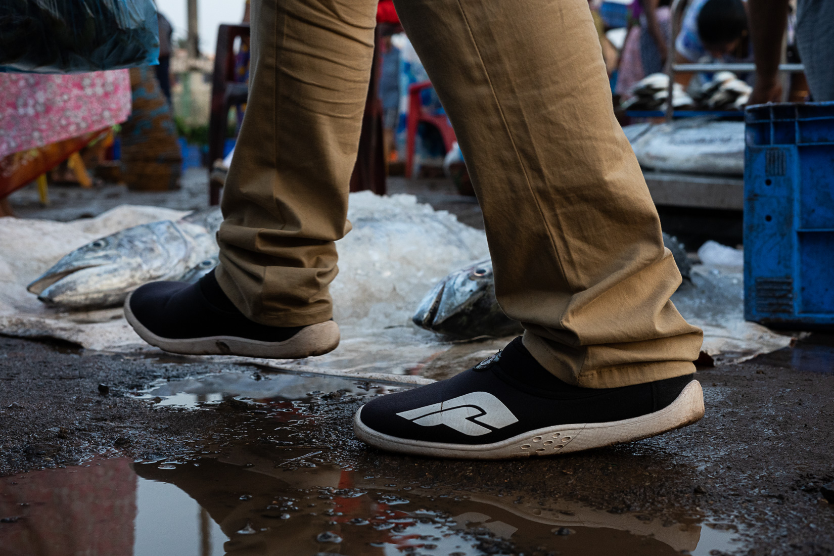 Goan Fish Market | pagespics