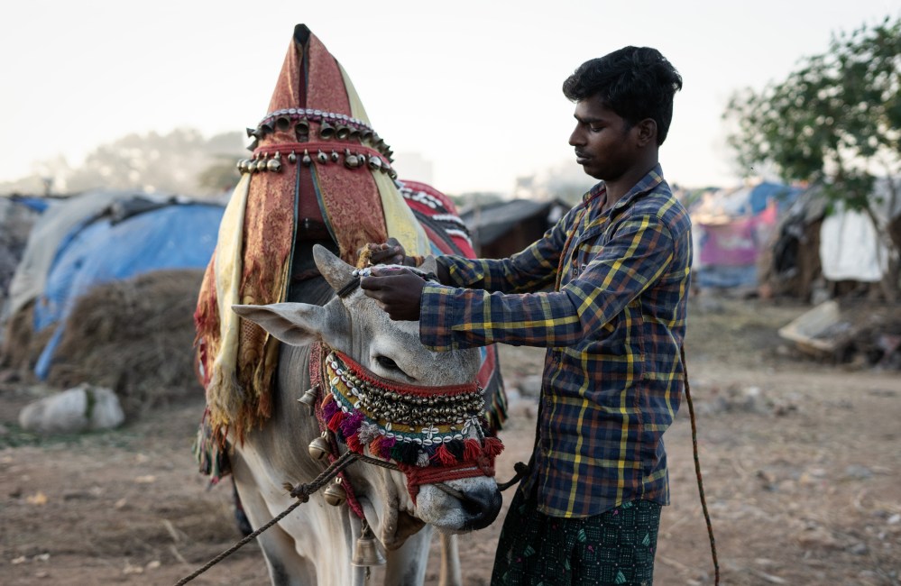 Five Tips for Planning a Photo Getaway. | pagespics